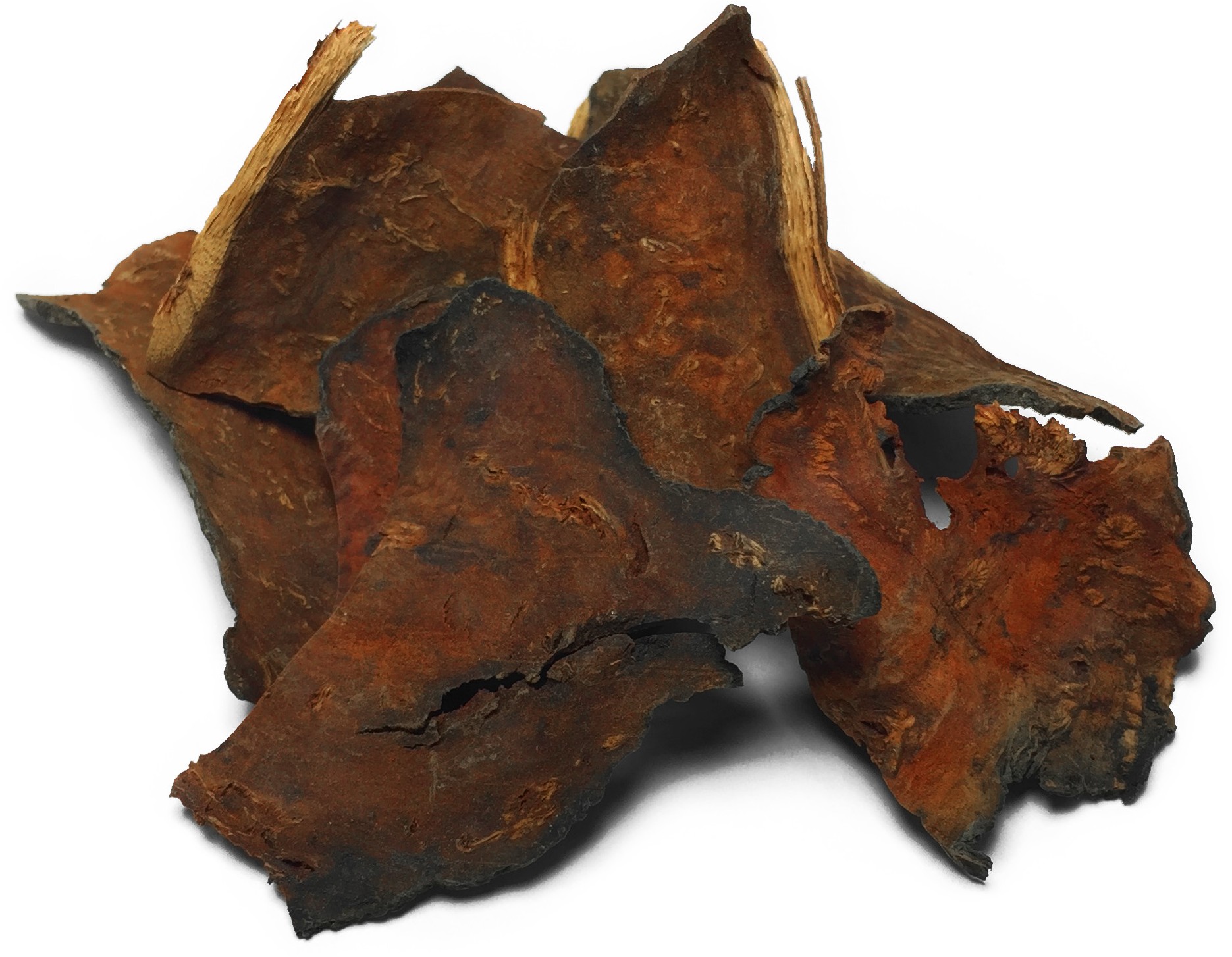 Fo-Ti Dried Root Tuber (Processed) - Polygoni Multiflori Radix Prepared